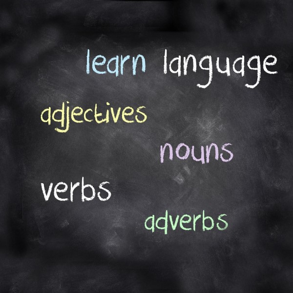 The Most Useful Languages to Learn Ranking Results | iFave Blog